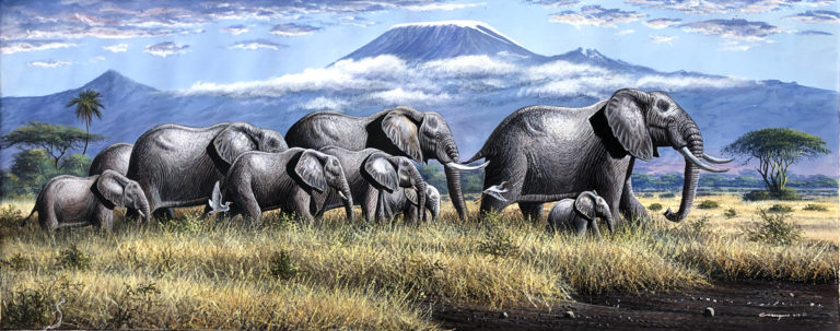 Geoffre Mugwe - Inside African Art